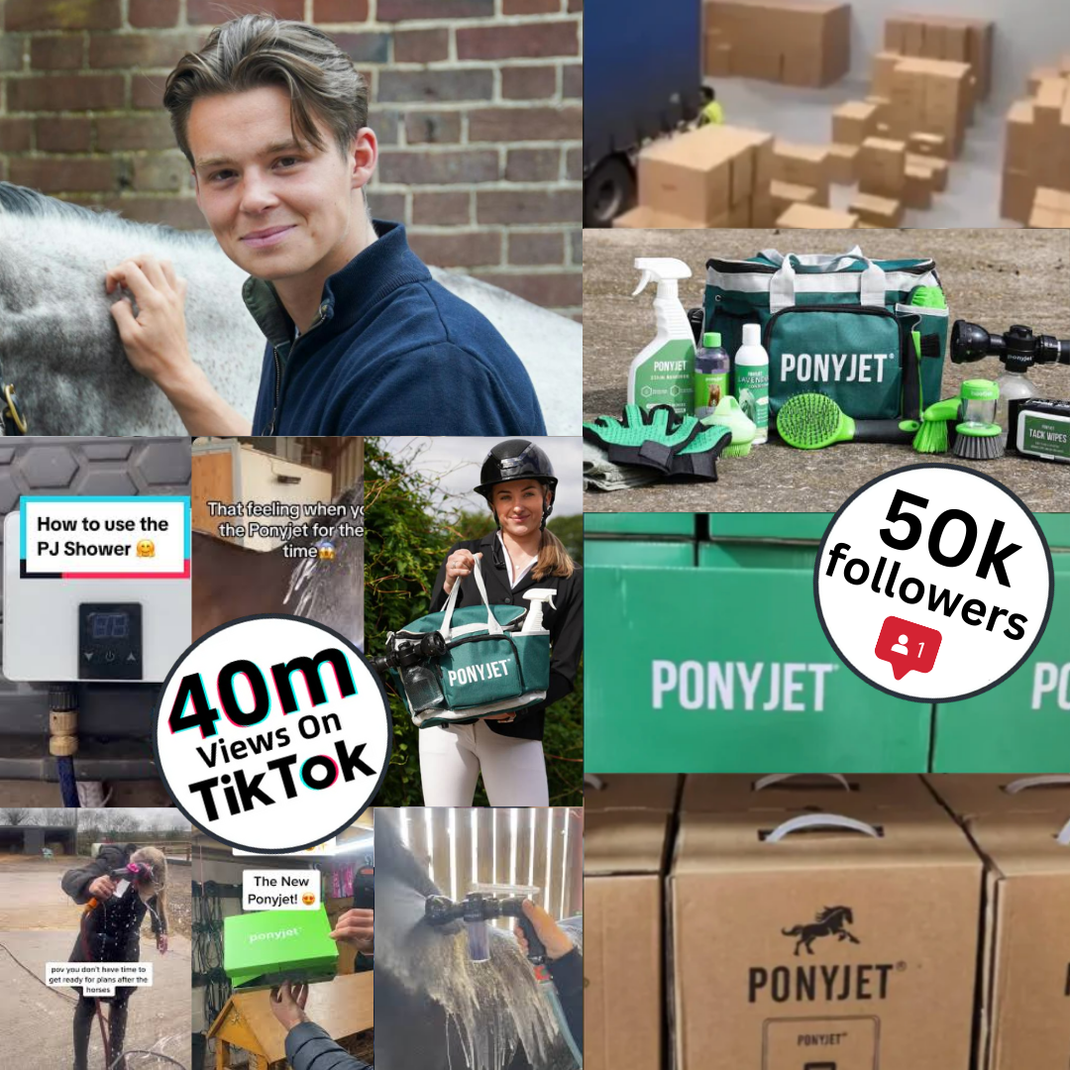 Meet Toby: How a Non-Horsey Boyfriend Turned a Bedroom Idea into the G ...