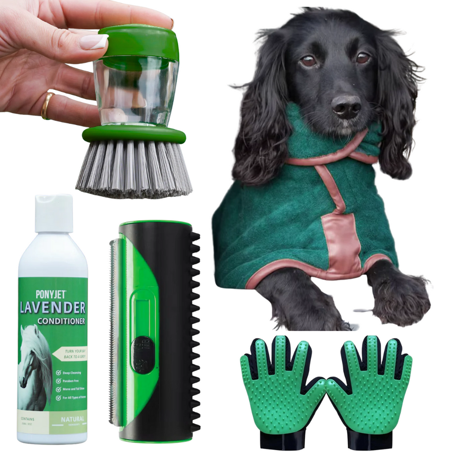 PetJet Co® Official Website | Your 4-Legged Best Friend, Our Priority.