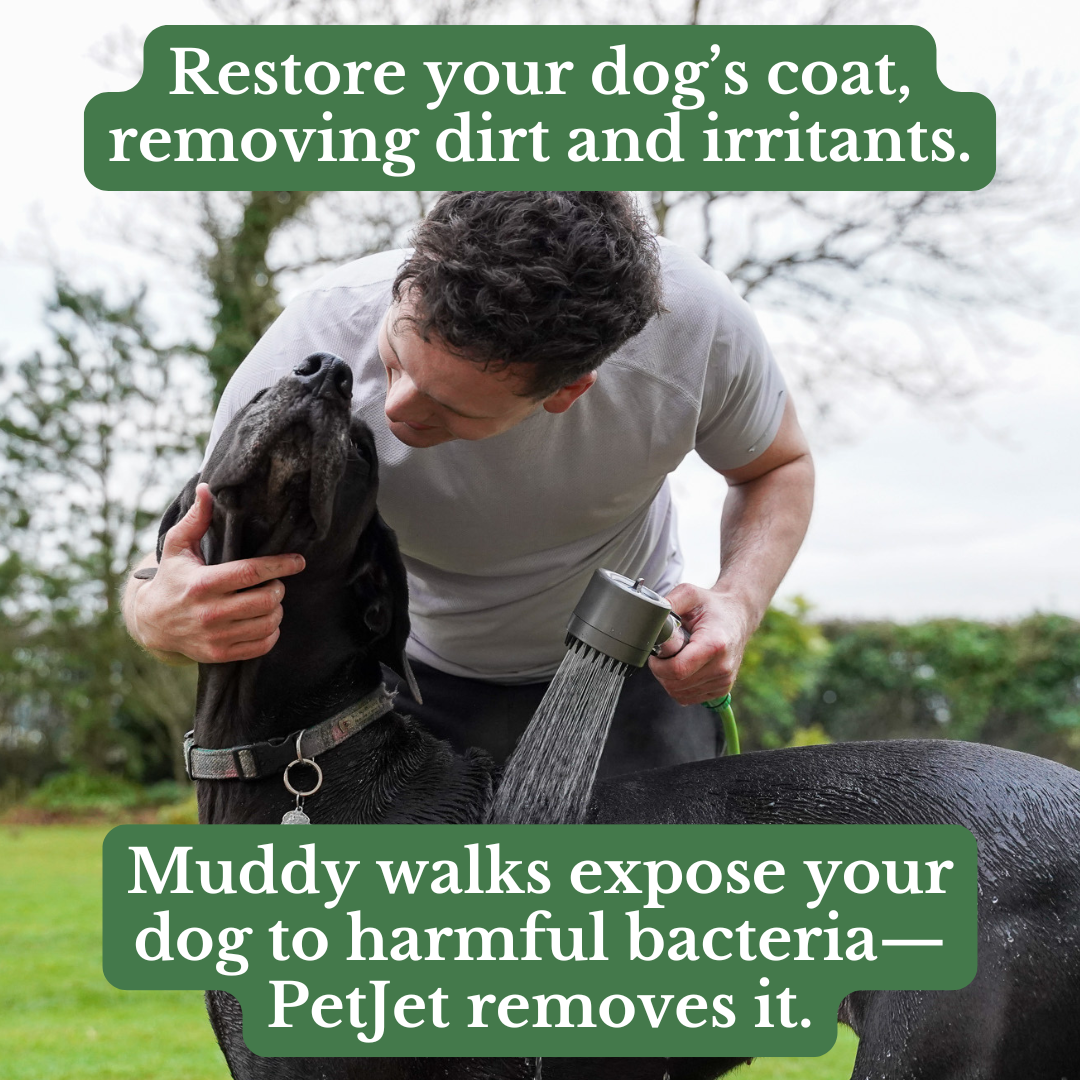 Ponyjet - Hot Shower Kit™ - Horses & Dog Wash – PetJet